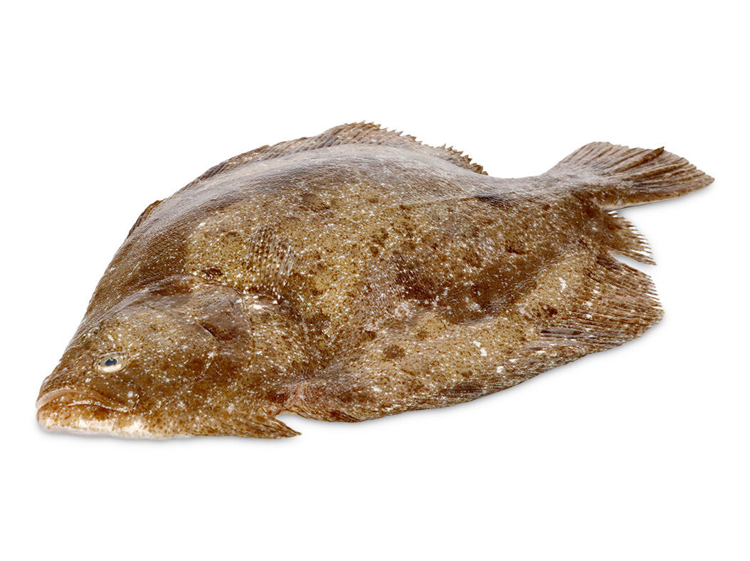 Rodovalho Kg | Auchan