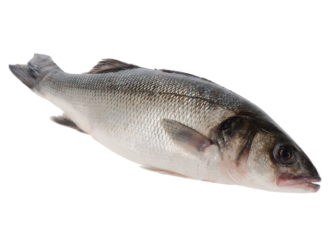 Robalo Mar Fresco Inteiro Kg | Auchan