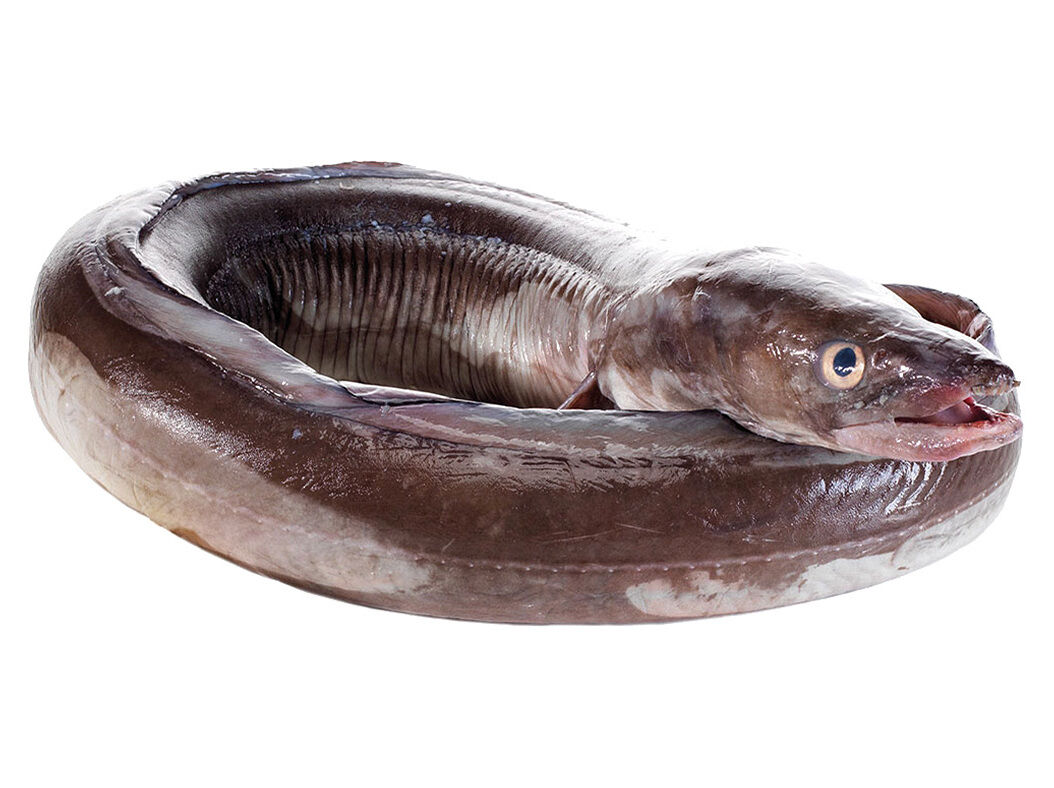 Safio Pequeno Kg | Auchan