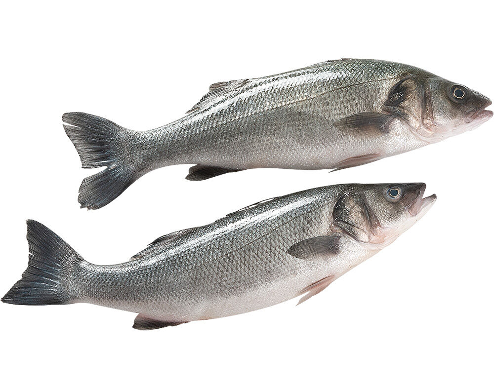 Robalo Grande 800g A 1kg | Auchan