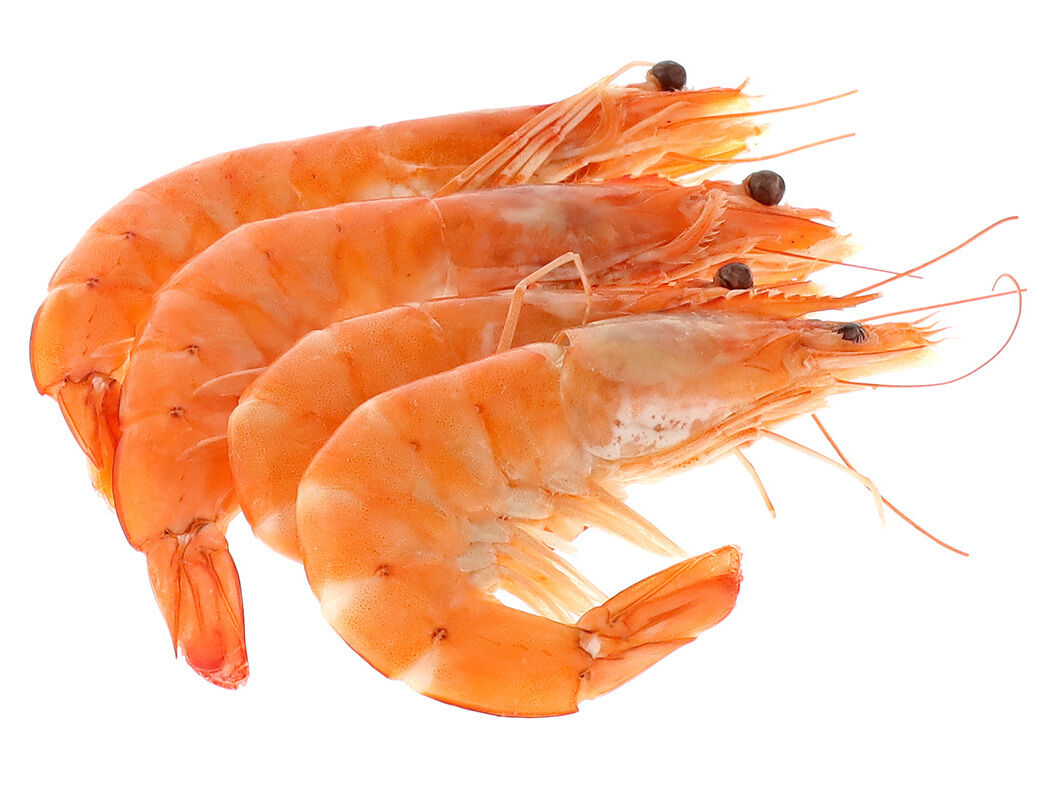 Camarão Cozido Vannamei Auchan 20/30 Kg | Auchan