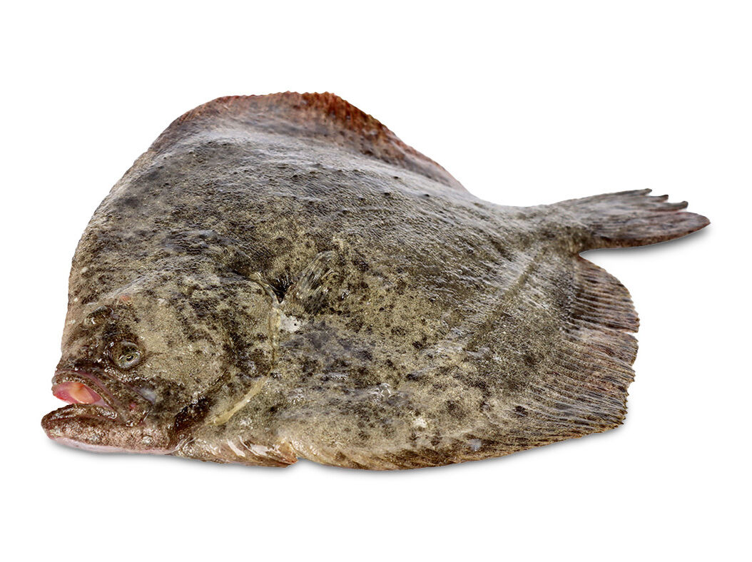 Pregado Nacional Auchan Cultivamos O Bom Kg | Auchan