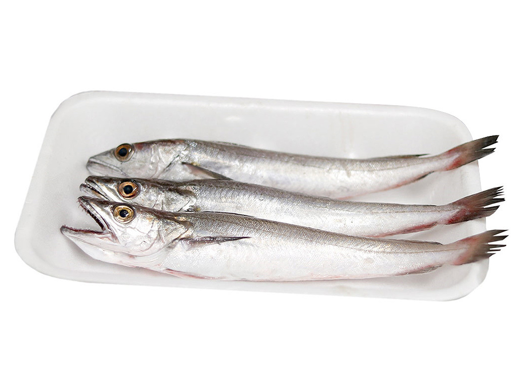 Pescada Pequena Kg | Auchan