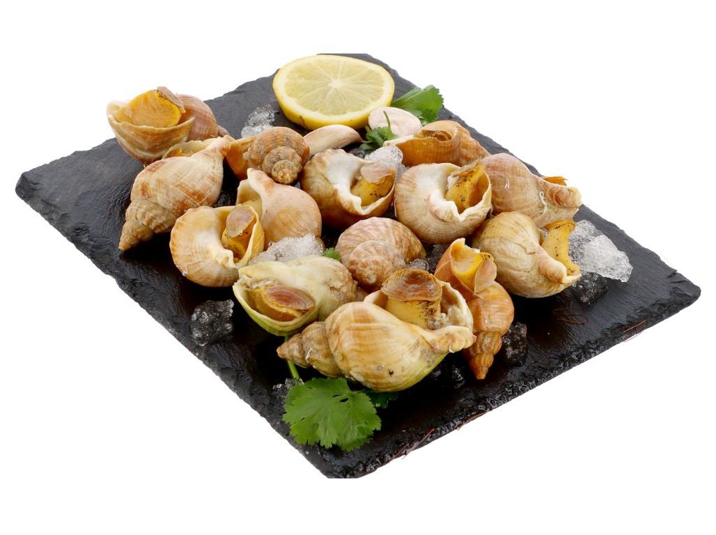 Búzio Grande Cozido Descongelado Kg | Auchan