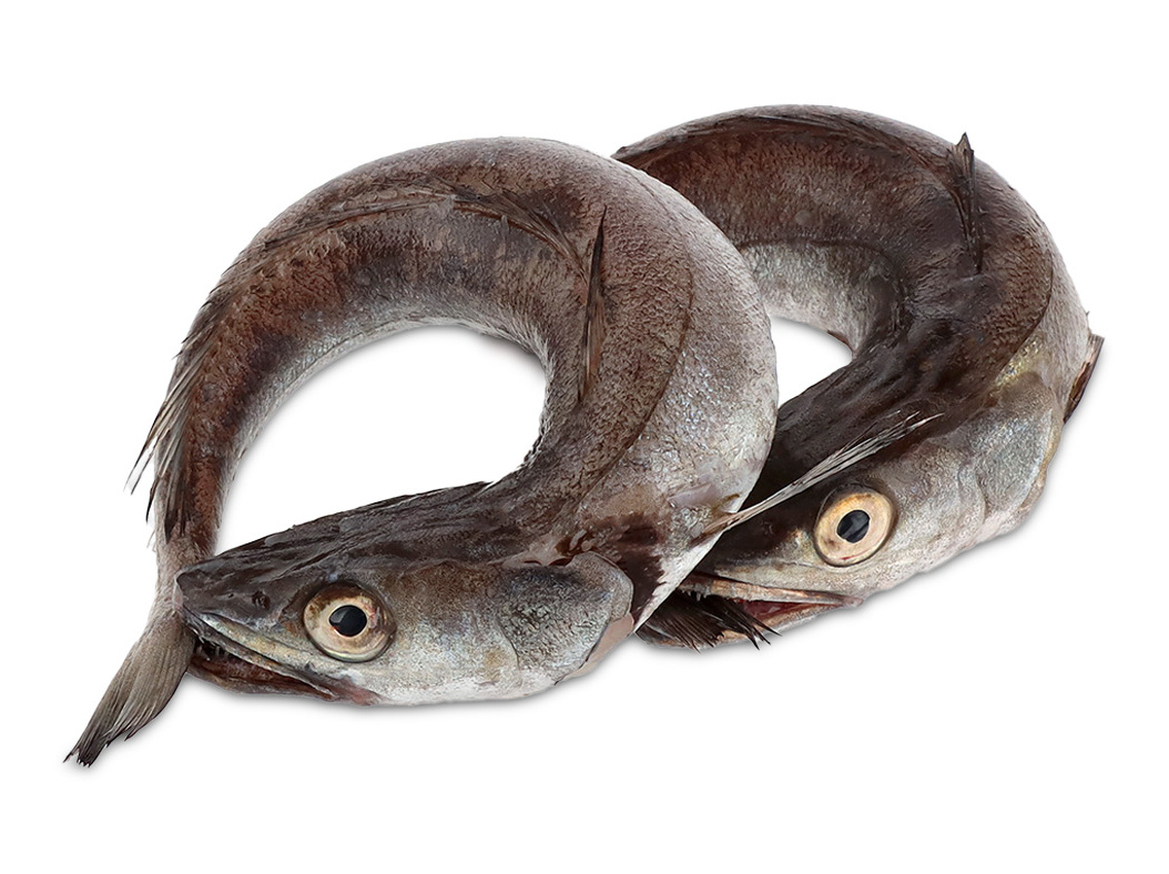 Pescada Média Marmota Kg | Auchan