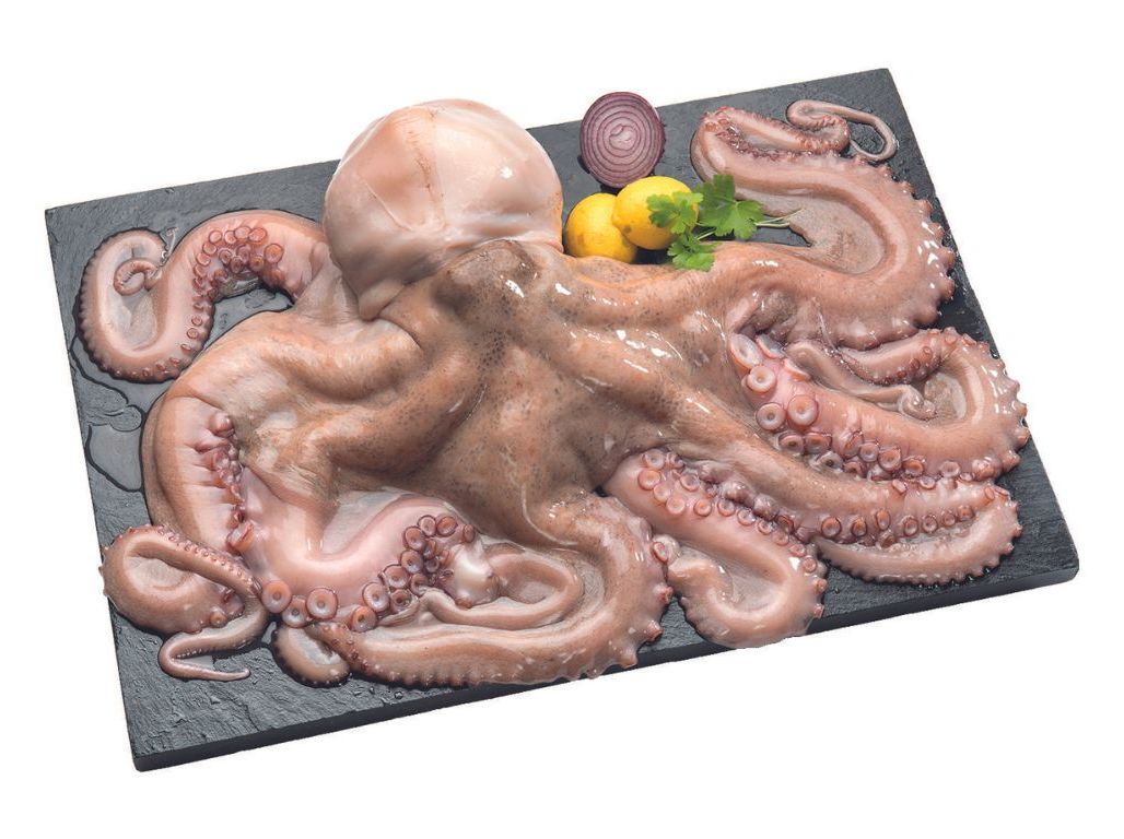 Polvo Congelado (4 A 5 Kg) | Auchan